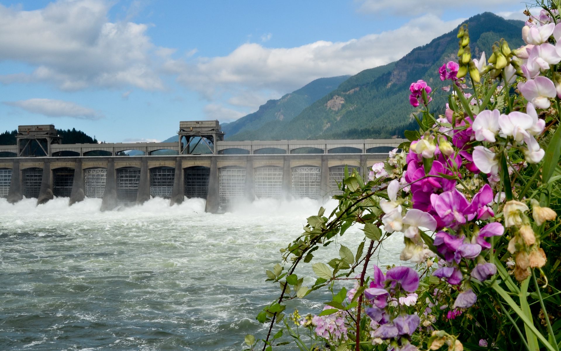Download wallpaper 1920x1200 river, dam, mountains, flowers, landscape ...