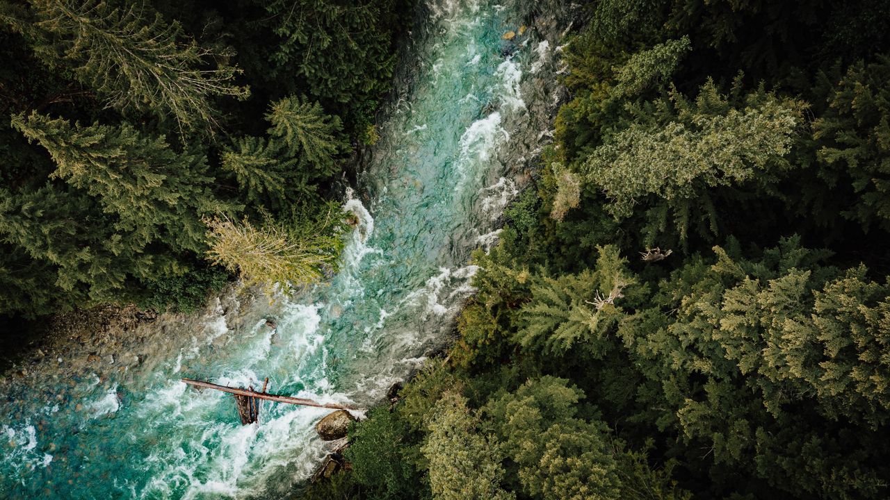 Wallpaper river, forest, aerial view, trees, water hd, picture, image