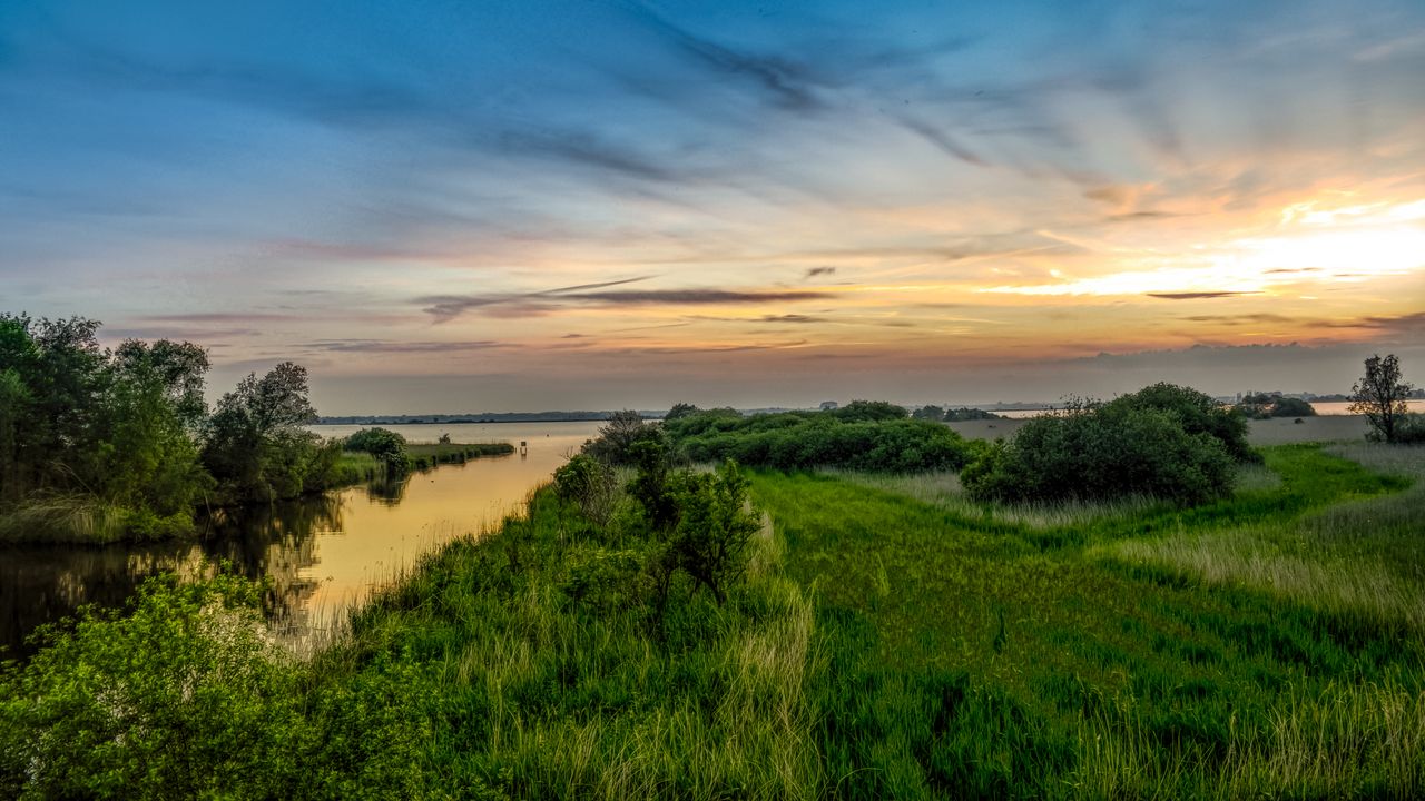 Wallpaper river, horizon, bushes, grass hd, picture, image