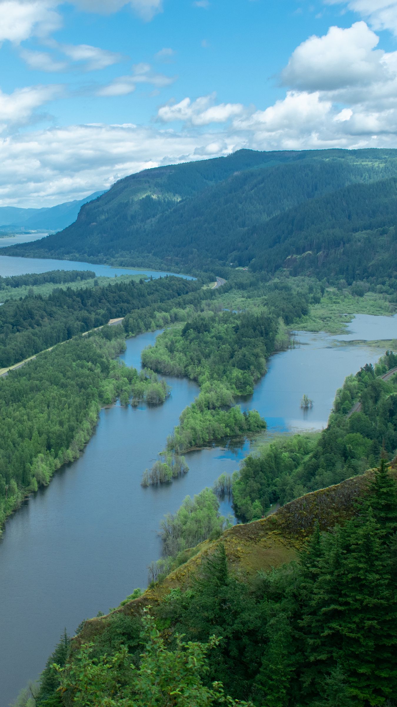 Download wallpaper 1350x2400 river, islands, trees, landscape, aerial ...