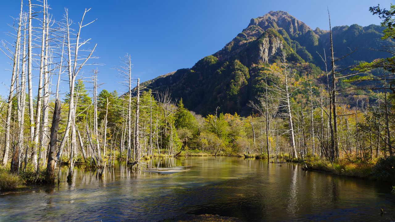Wallpaper river, mountain, trees, autumn, landscape hd, picture, image
