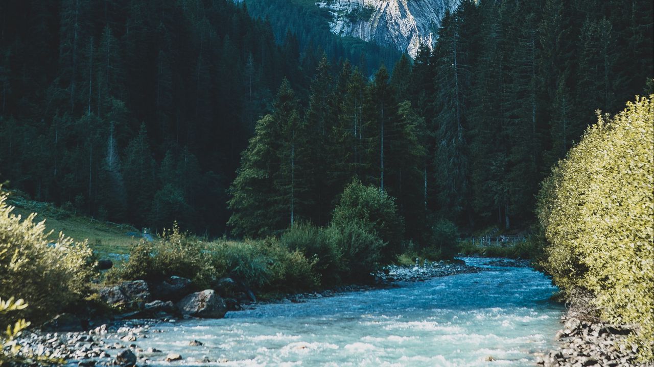 Wallpaper river, mountain, trees, landscape hd, picture, image