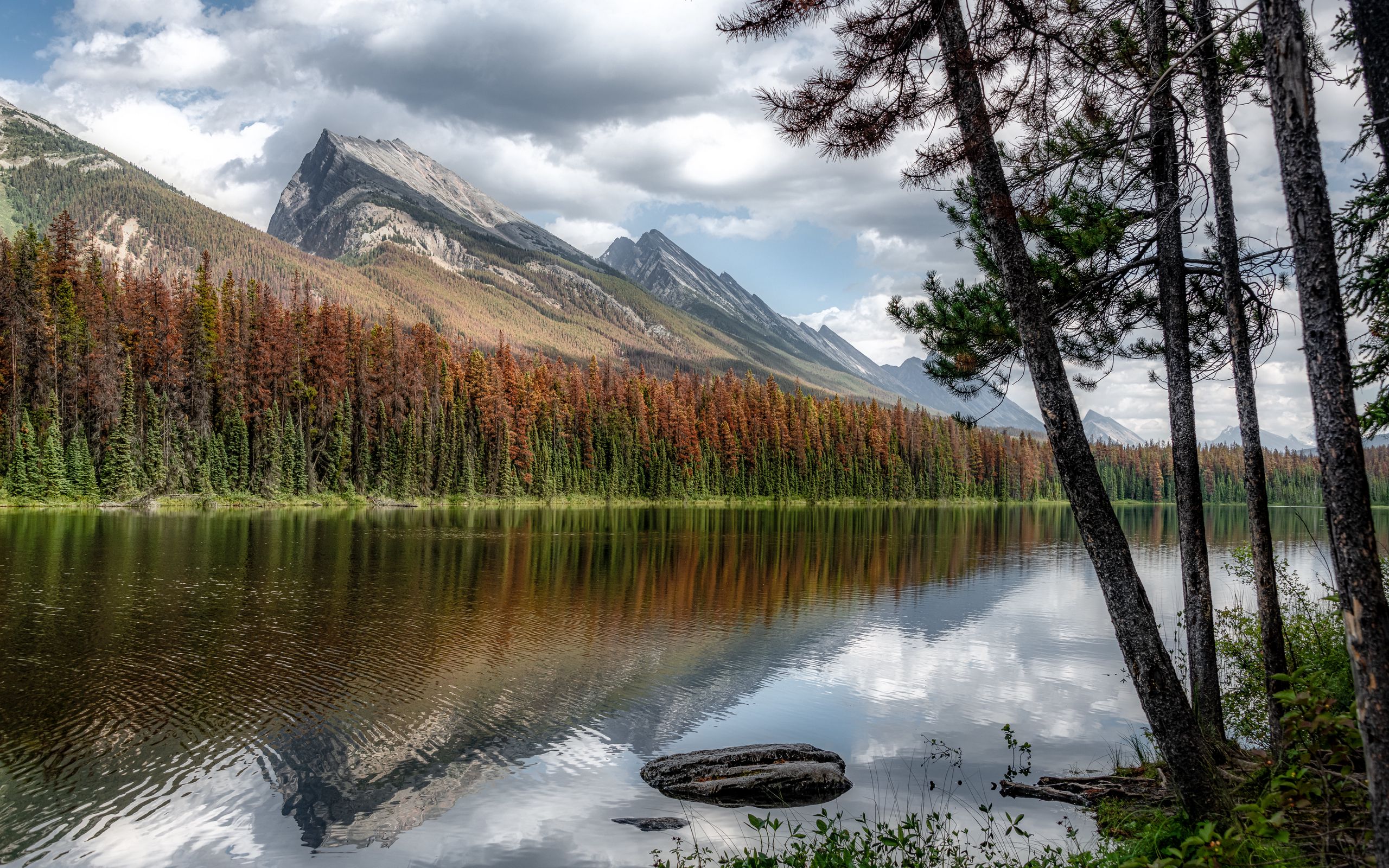 Download wallpaper 2560x1600 river, mountains, forest, coast, landscape ...