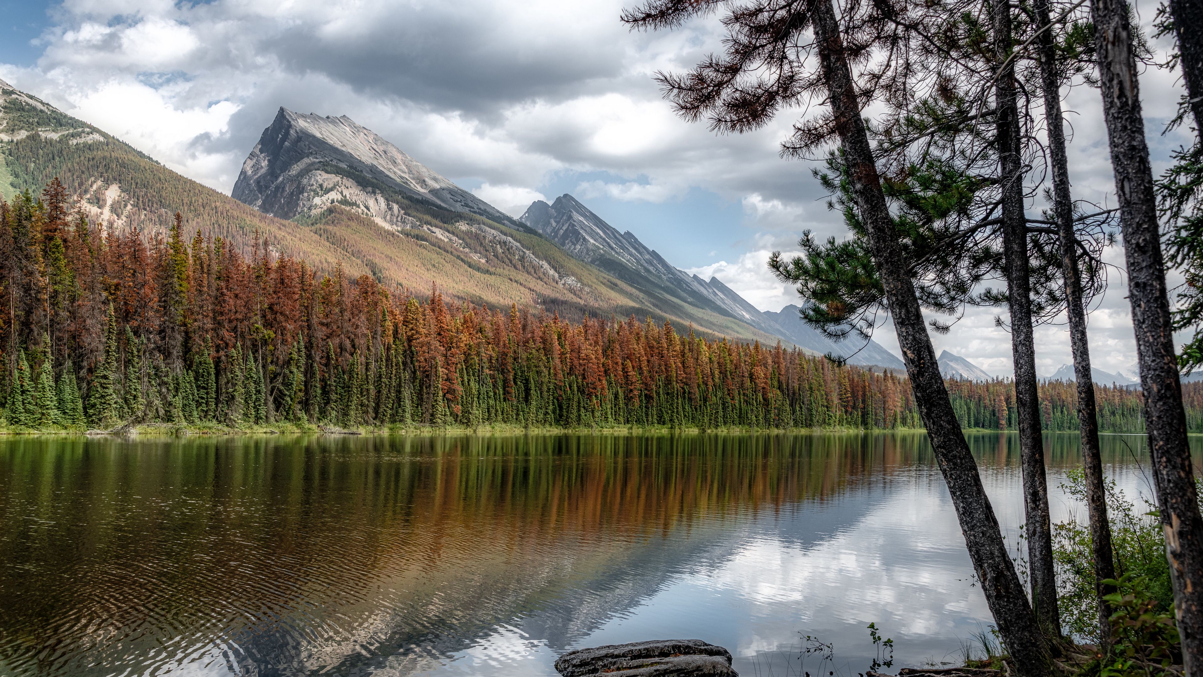 Download wallpaper 3840x2160 river, mountains, forest, coast, landscape ...