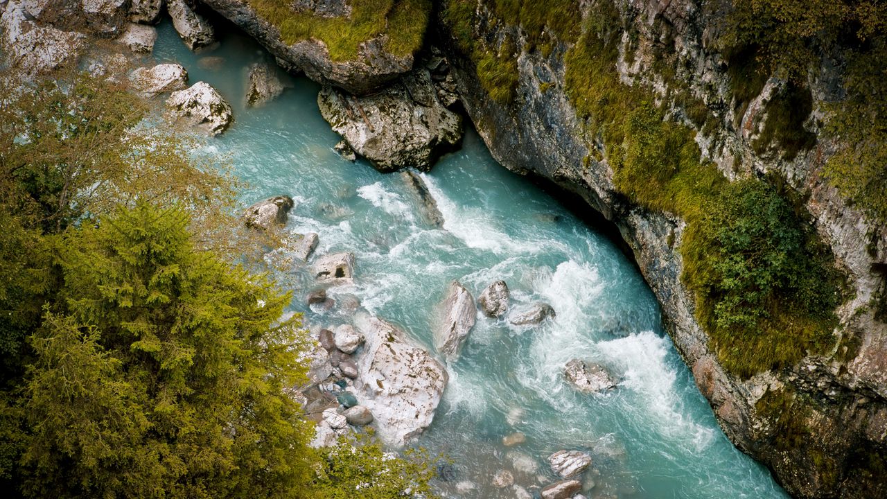 Wallpaper river, rocks, trees, aerial view hd, picture, image