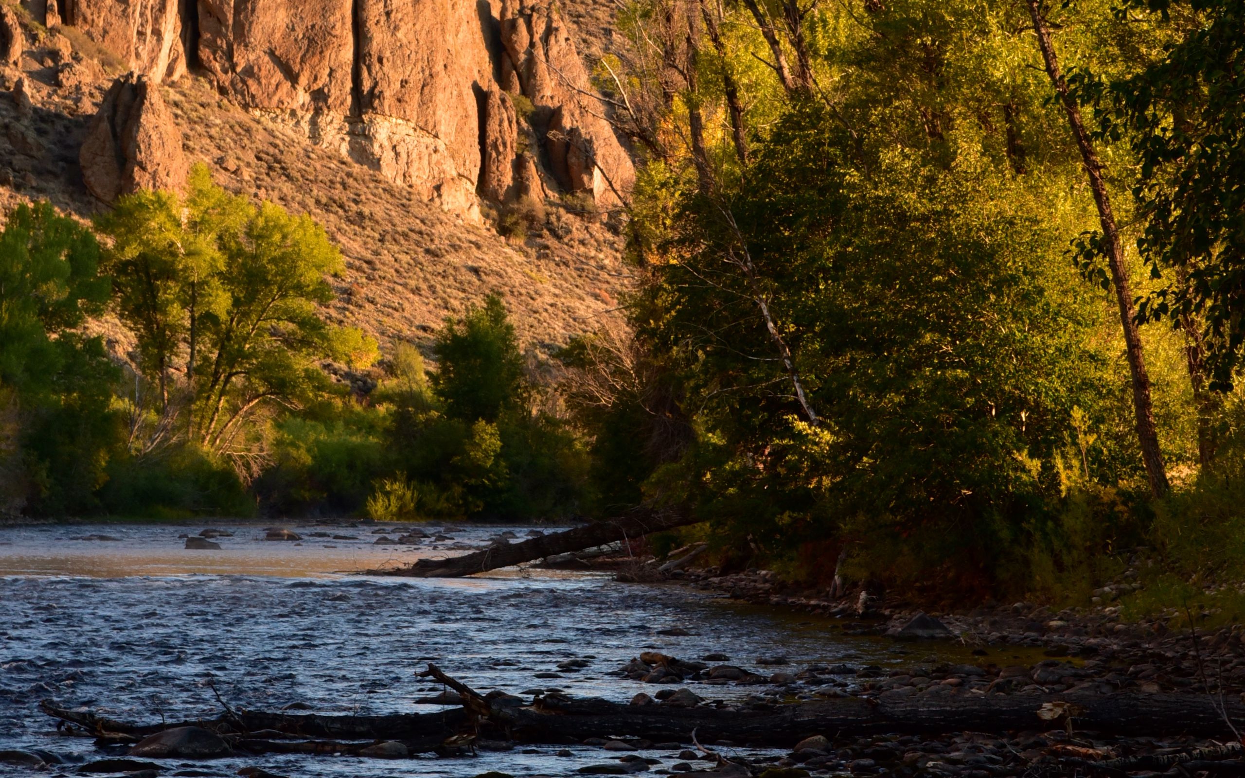Download wallpaper 2560x1600 river, rocks, trees, shore, landscape ...