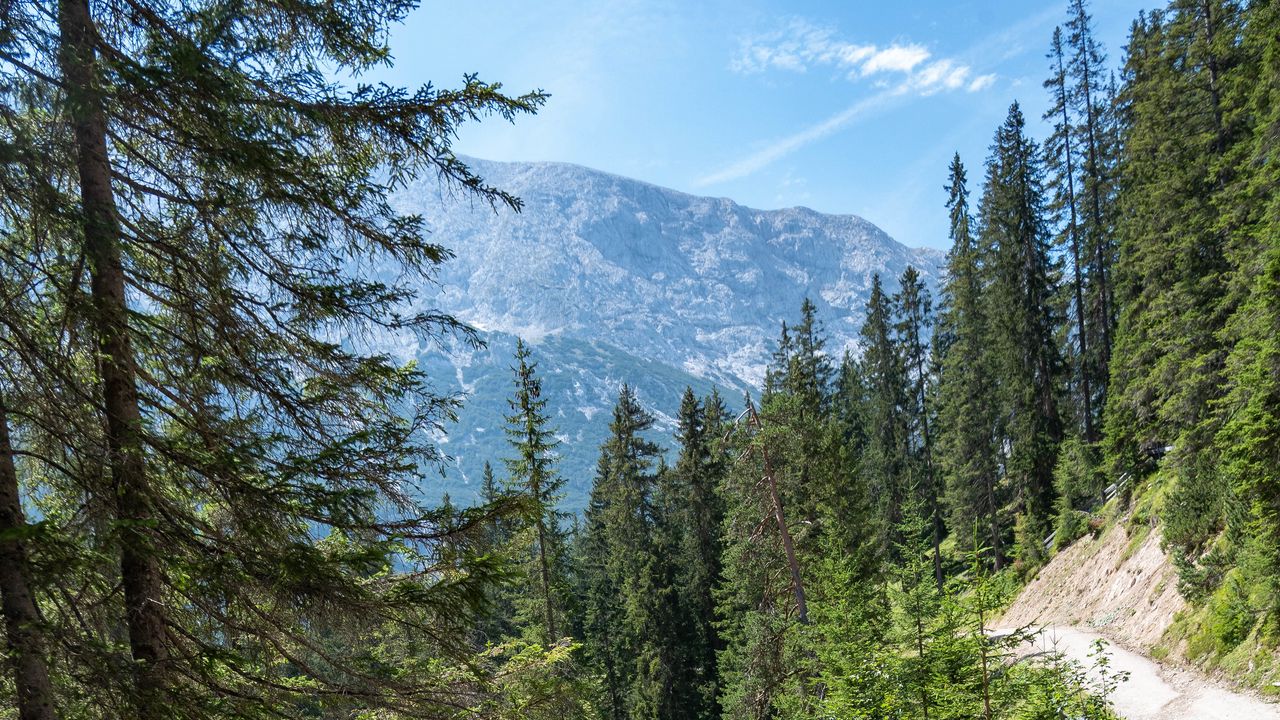 Wallpaper river, stones, slope, trees, mountains hd, picture, image