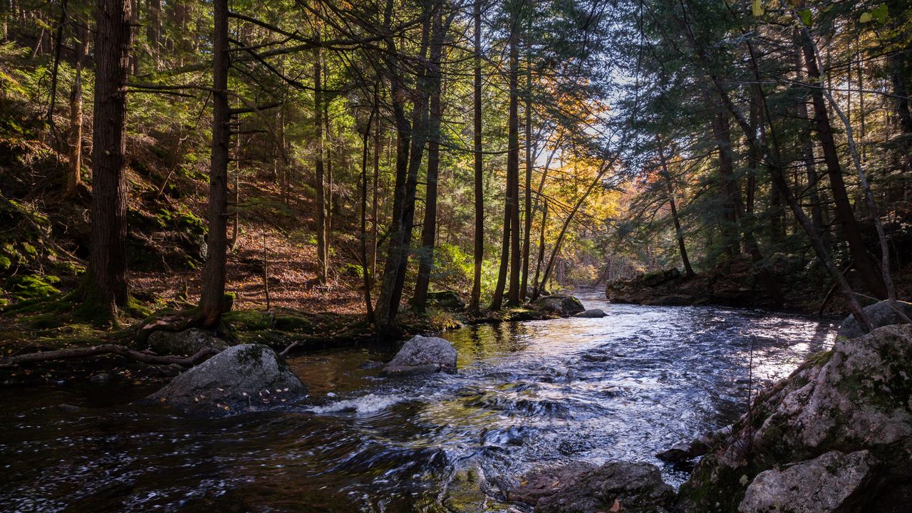 Wallpaper river, stones, trees, nature, landscape hd, picture, image