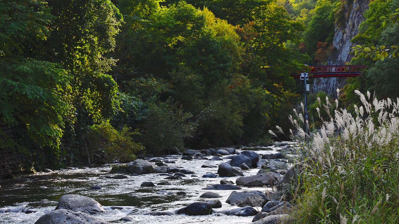 Wallpaper river, stones, trees, nature hd, picture, image