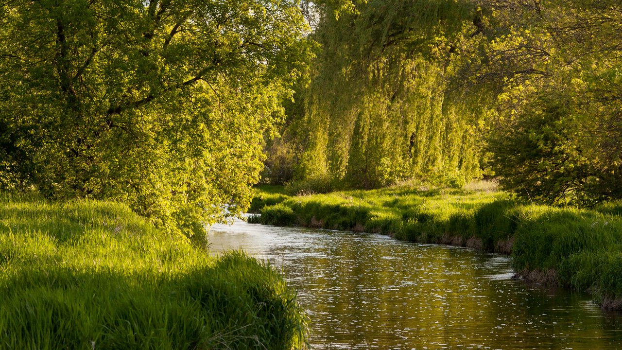 Wallpaper river, trees, nature, landscape, green hd, picture, image