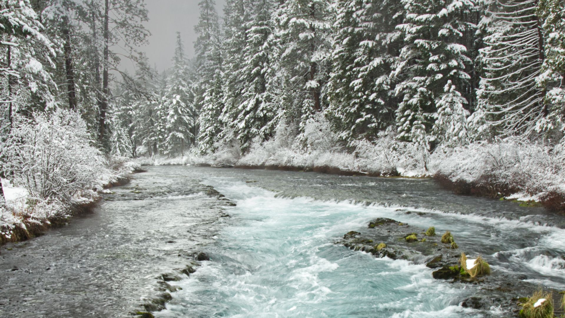 Download wallpaper 1920x1080 river, trees, snow, nature, winter full hd ...