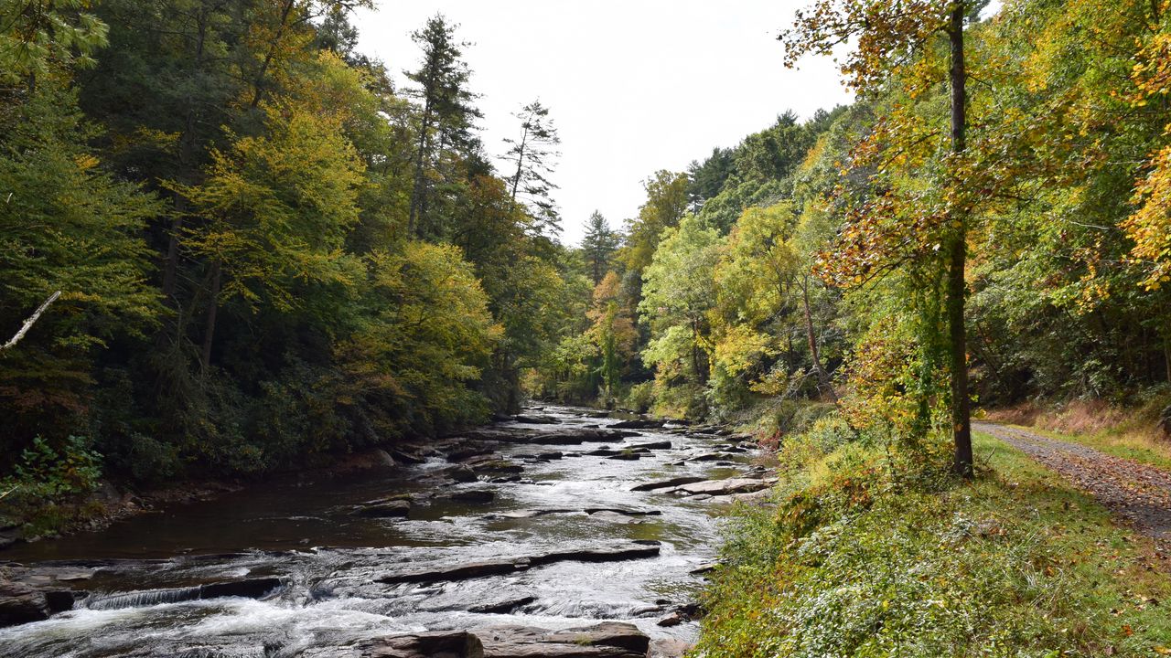 Wallpaper river, water, trees, landscape, nature hd, picture, image