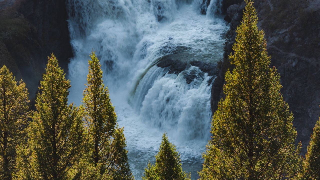 Wallpaper river, waterfall, trees, water hd, picture, image