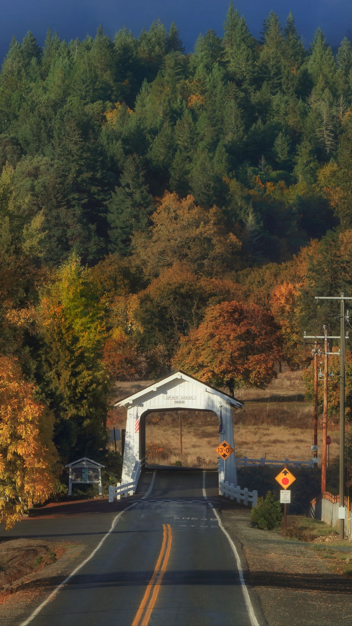 Download wallpaper 1350x2400 road, arch, forest, autumn iphone 8+/7+/6s ...