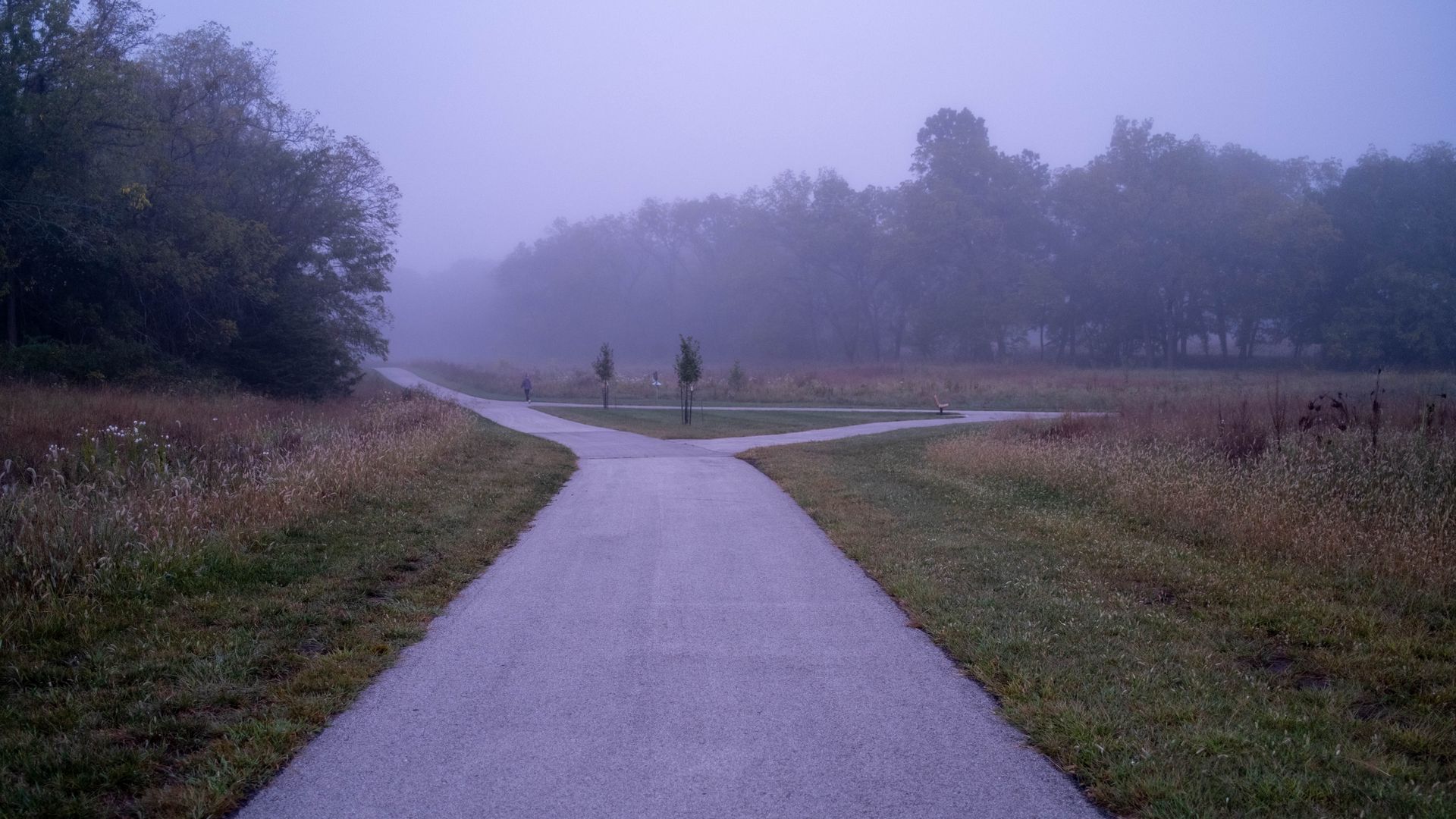 Download wallpaper 1920x1080 road, asphalt, trees, fog, bushes full hd ...