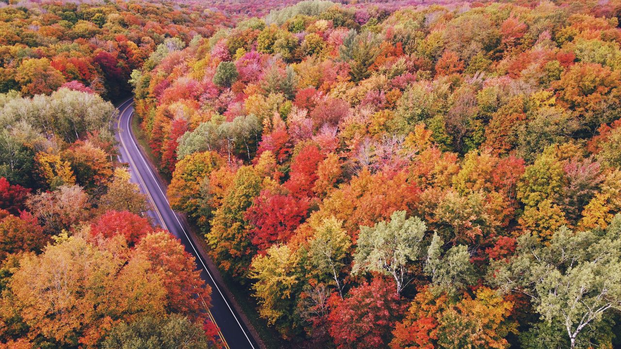 Wallpaper road, autumn, trees, aerial view hd, picture, image