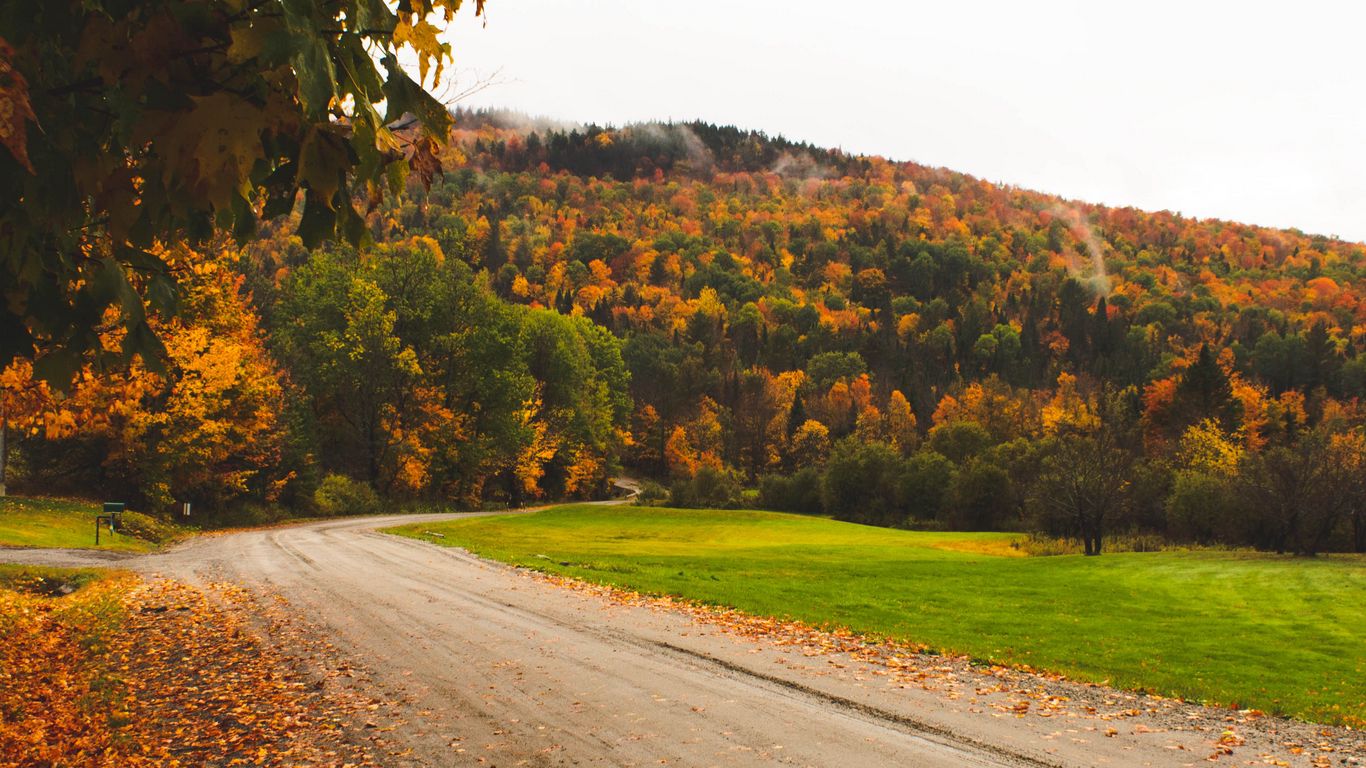 Download wallpaper 1366x768 road, autumn, trees, leaves, forest tablet ...