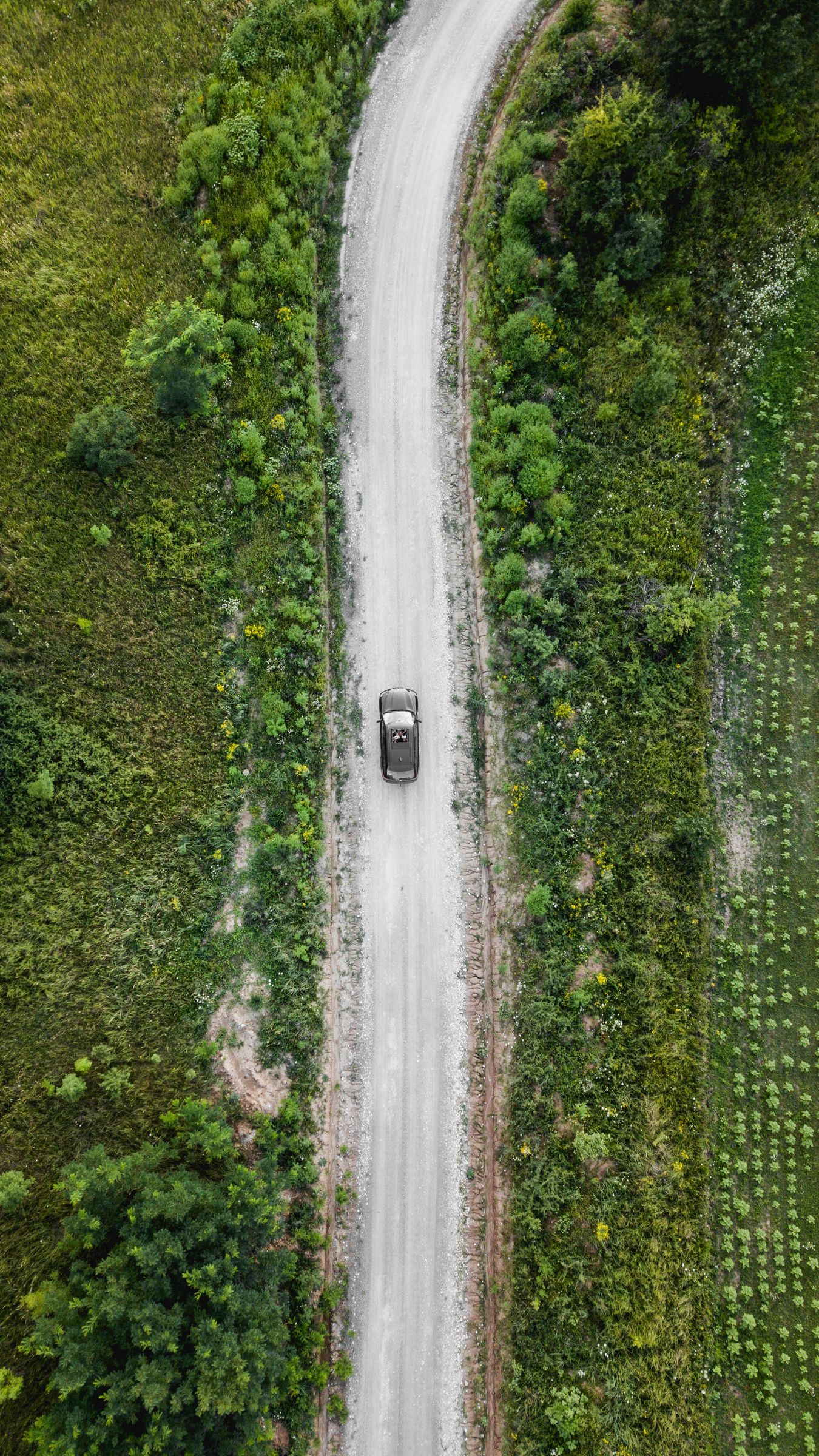 Download wallpaper 1350x2400 road, car, top view, grass iphone 8+/7+/6s ...