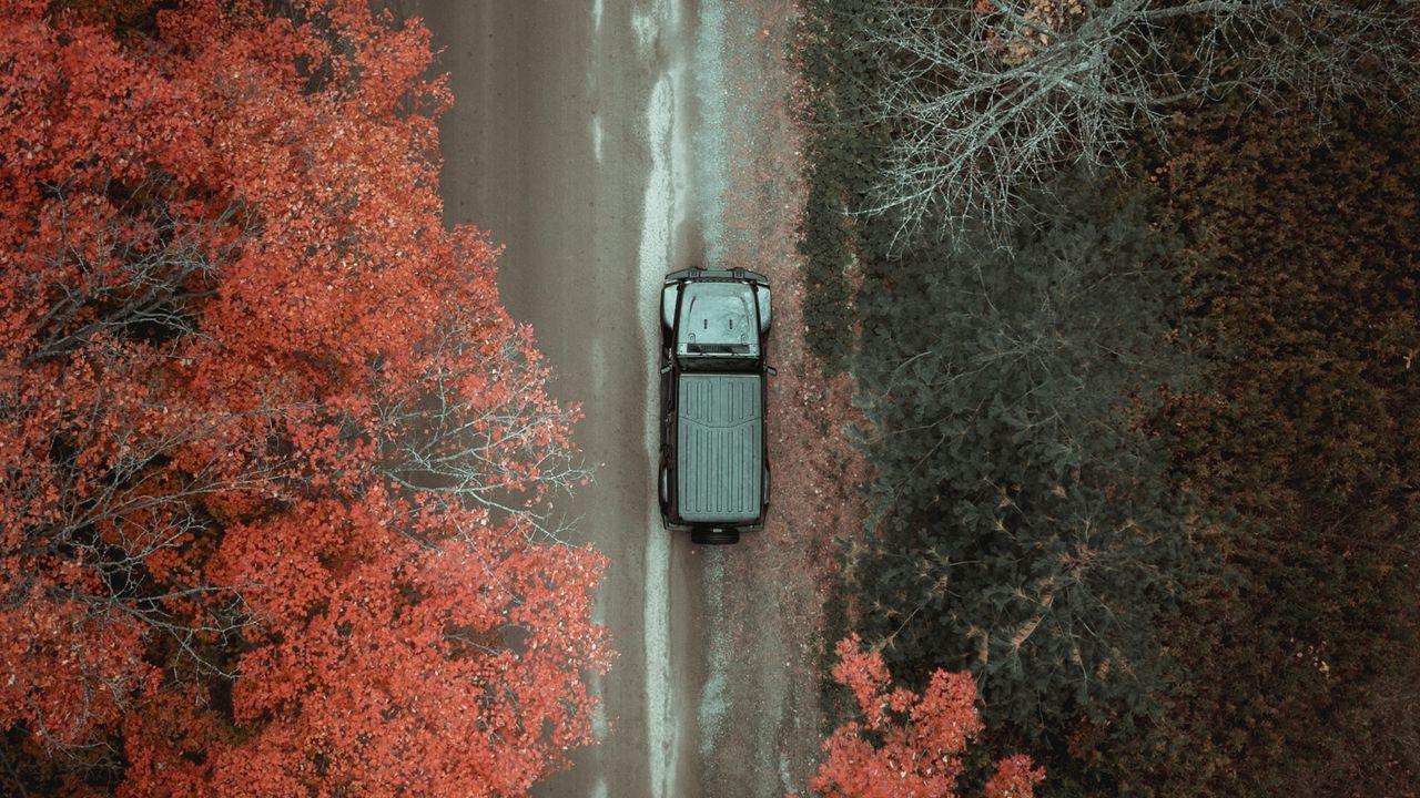 Wallpaper road, car, trees, aerial view hd, picture, image