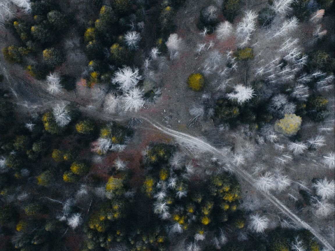 Download wallpaper 1152x864 road, forest, aerial view, trees, overview ...