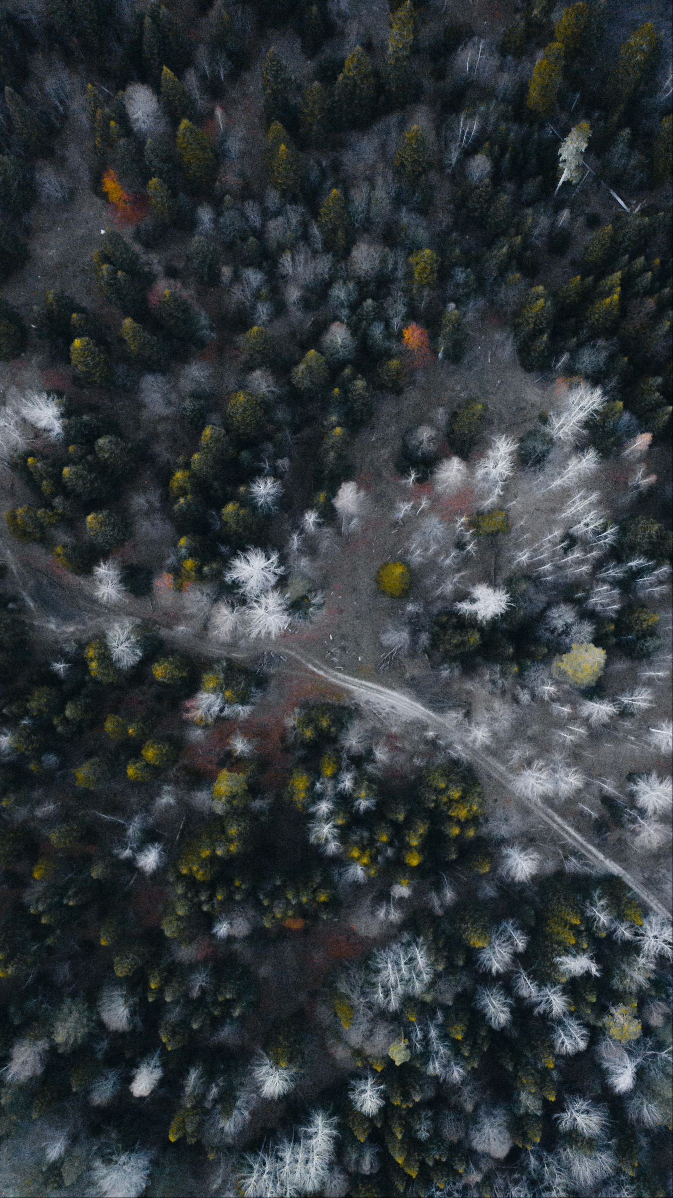 Download wallpaper 1350x2400 road, forest, aerial view, trees, overview ...