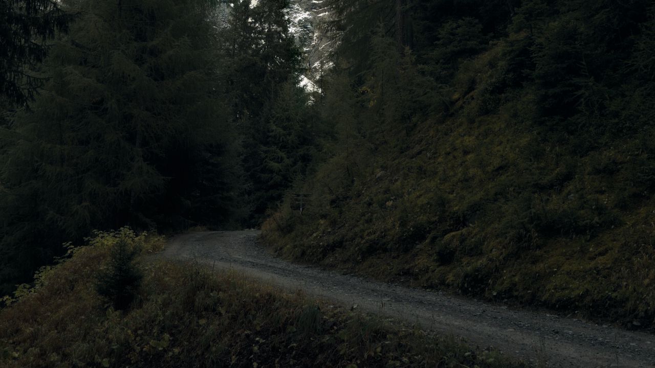 Wallpaper road, forest, mountain, nature, landscape hd, picture, image