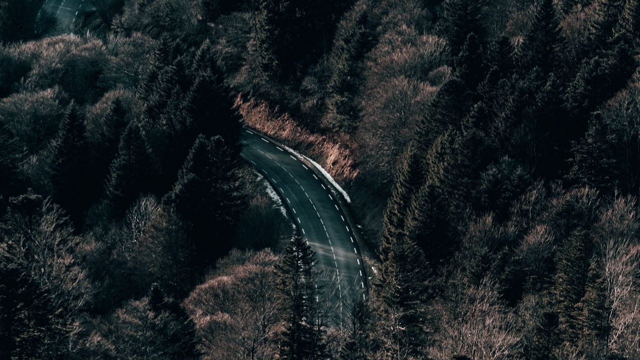 Wallpaper road, forest, trees, aerial view hd, picture, image