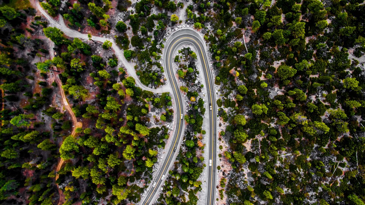 Wallpaper road, forest, trees, aerial view hd, picture, image