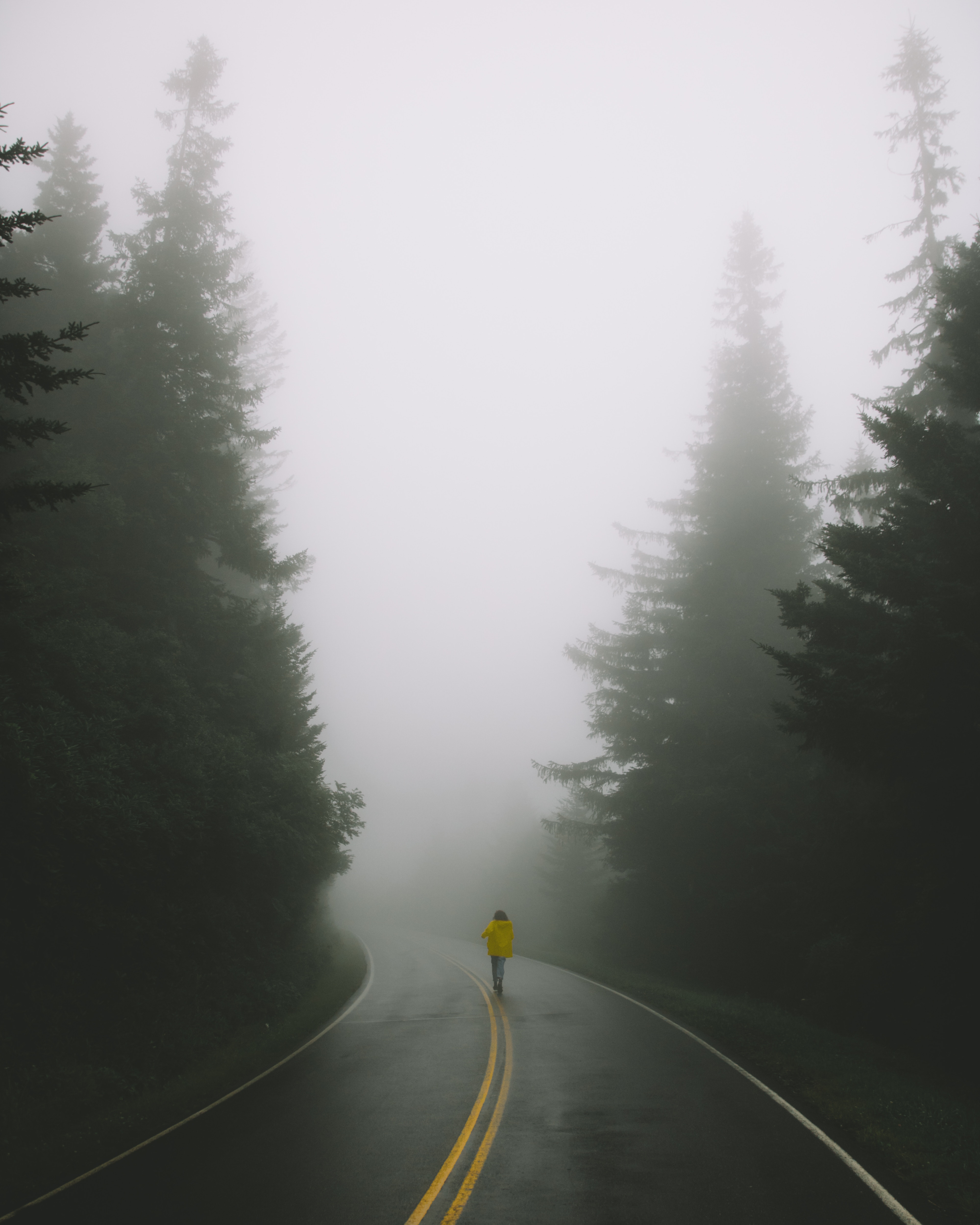 Download wallpaper 4000x5000 road, man, fog, loneliness, markup, turn ...