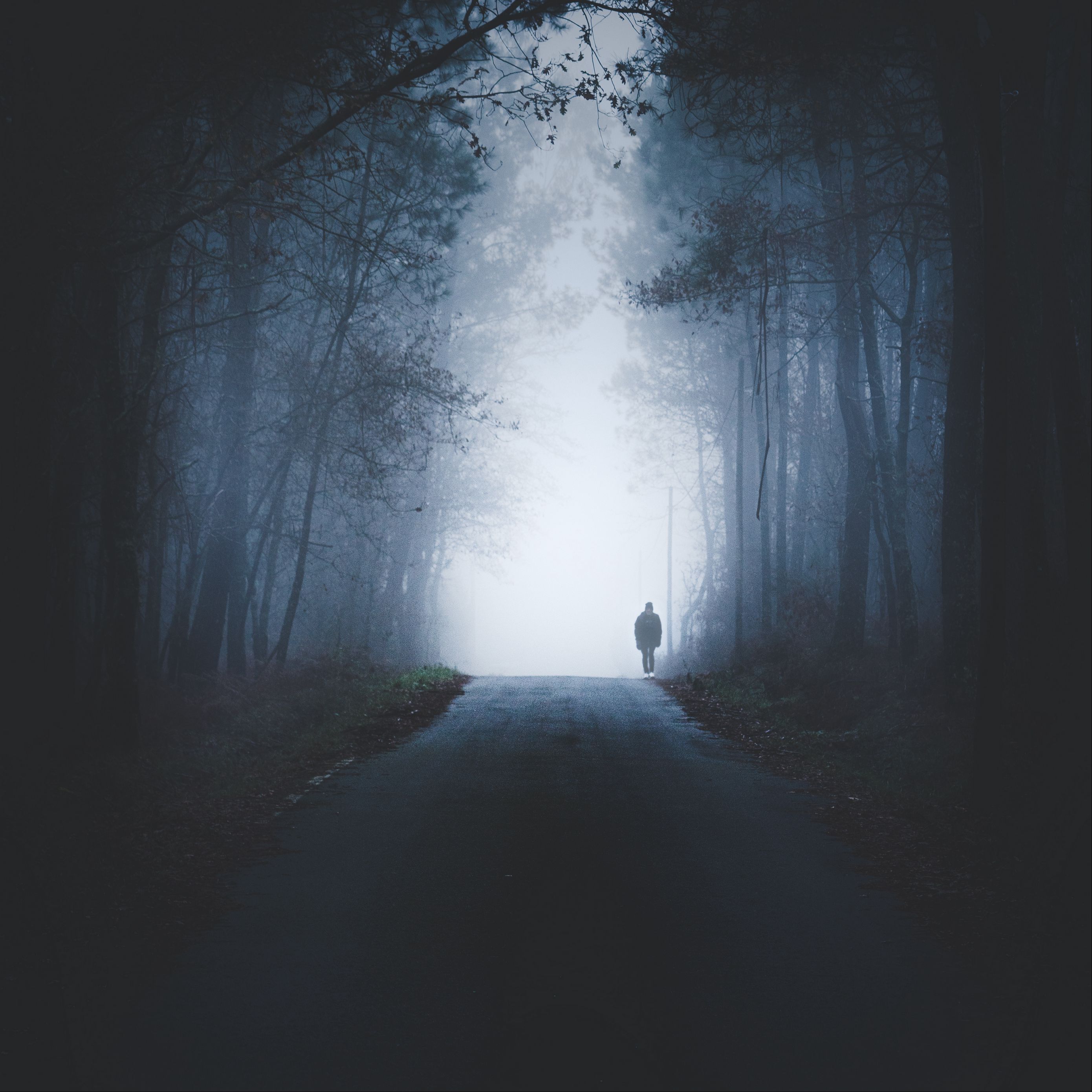 Download wallpaper 2780x2780 road, man, silhouette, fog, forest ipad ... Download wallpaper 2780x2780 road, man, silhouette, fog, forest ipad ...