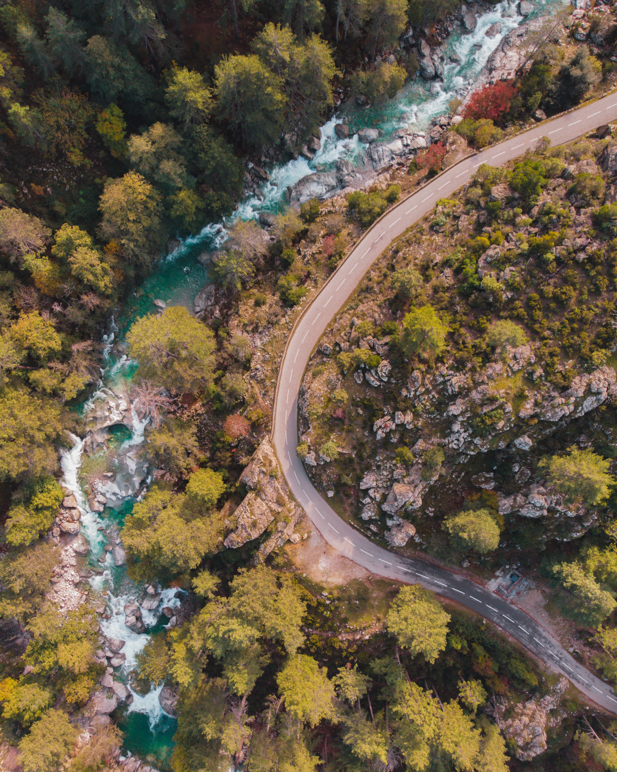 Download wallpaper 2400x3000 road, river, aerial view, trees hd background