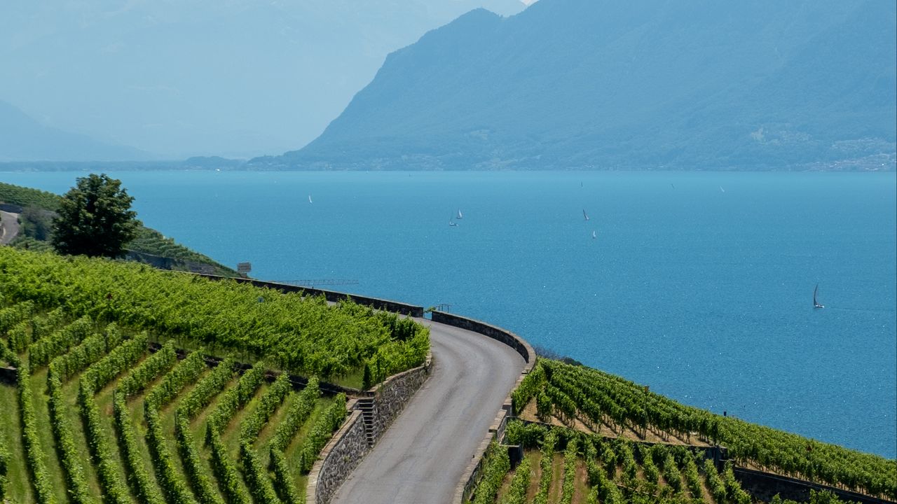 Wallpaper road, slope, bushes, sea, mountains hd, picture, image