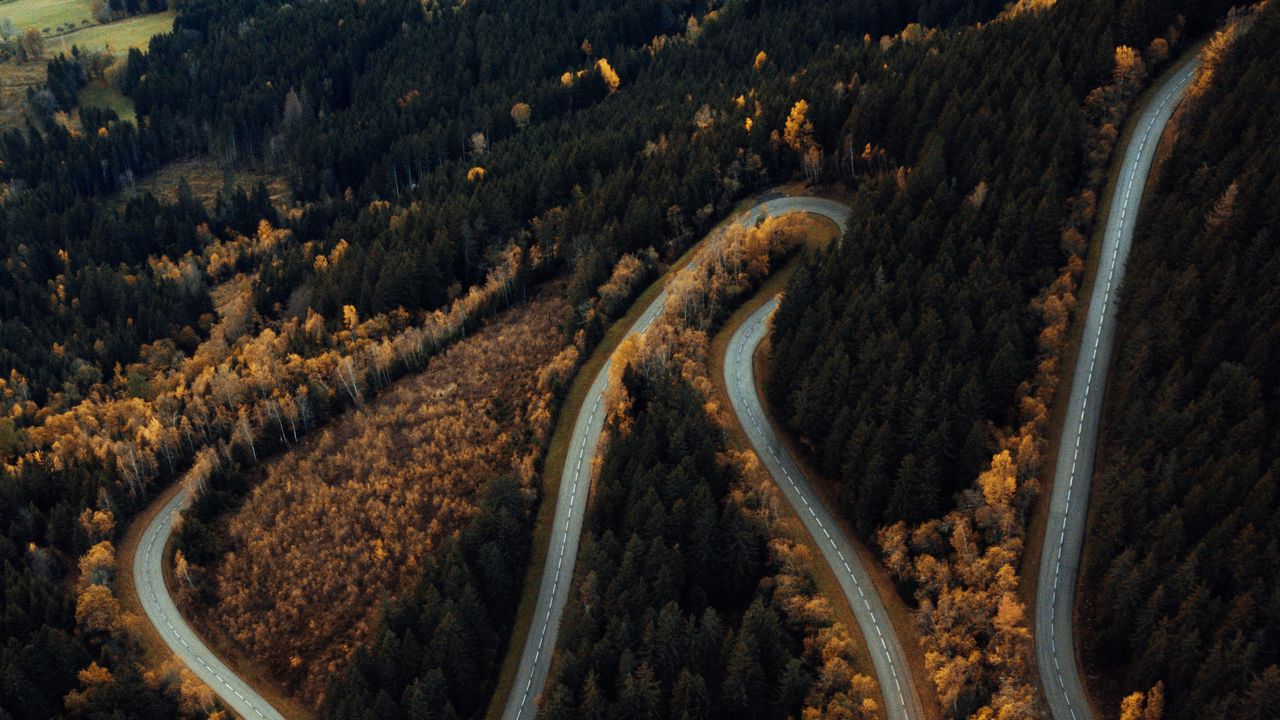 Wallpaper road, slope, forest, aerial view, nature hd, picture, image