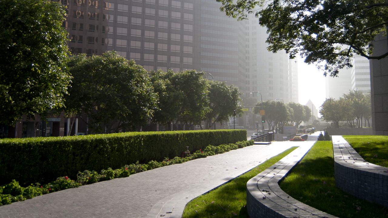 Wallpaper road, street, trees, buildings, shadows hd, picture, image