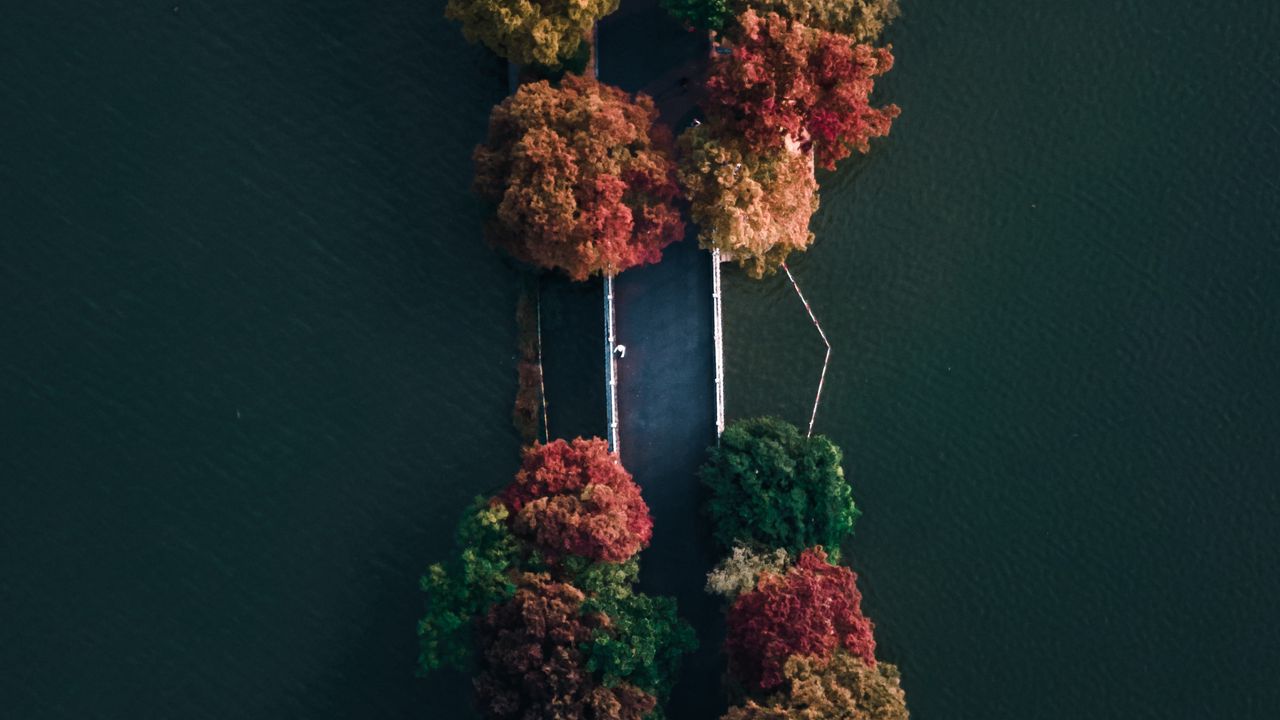 Wallpaper road, trees, aerial view, sea hd, picture, image