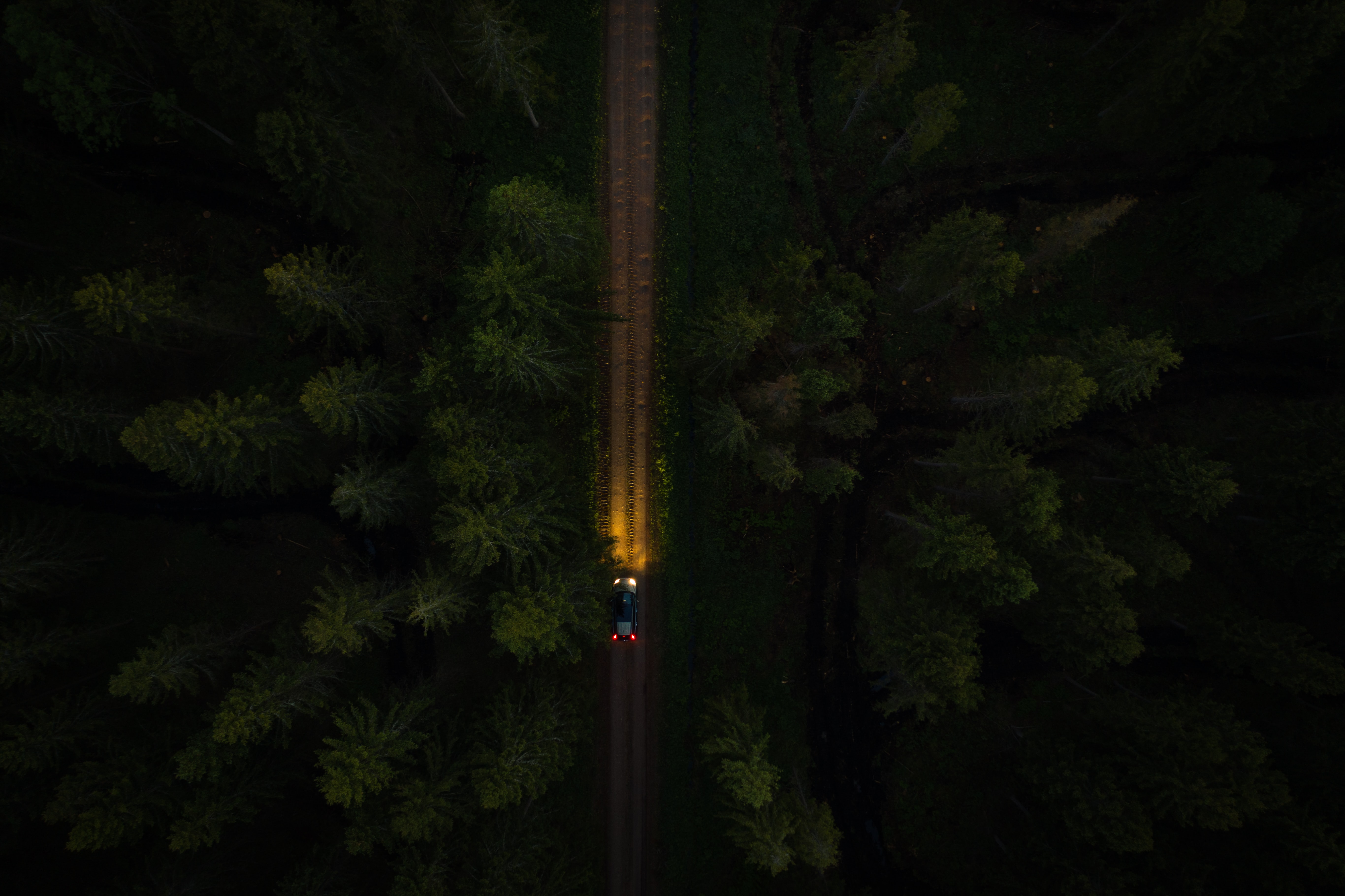 Download wallpaper 5464x3640 road, trees, car, aerial view hd background