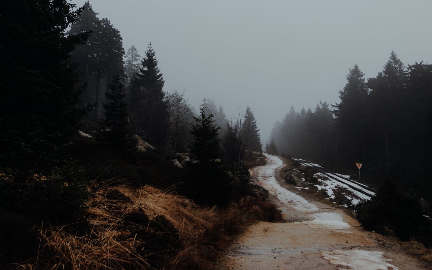 Download wallpaper 1440x900 road, trees, fog, nature widescreen 16:10 ...