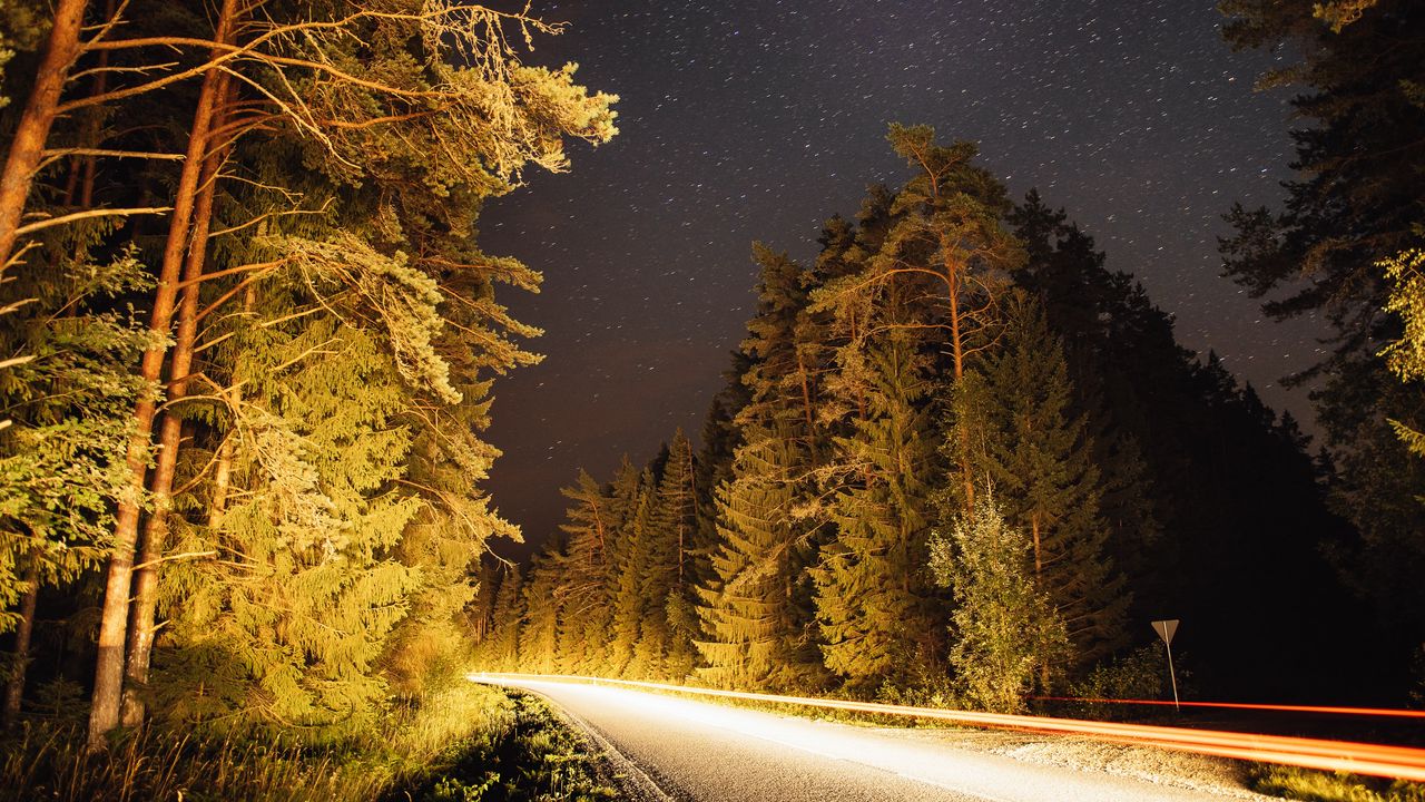 Wallpaper road, trees, forest, stars, night hd, picture, image