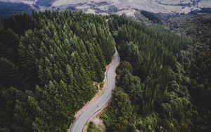 Wallpaper road, trees, top view hd, picture, image