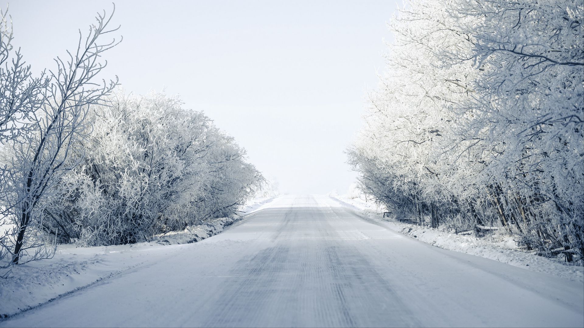 Download wallpaper 1920x1080 road, trees, snow, winter, snowy full hd ...
