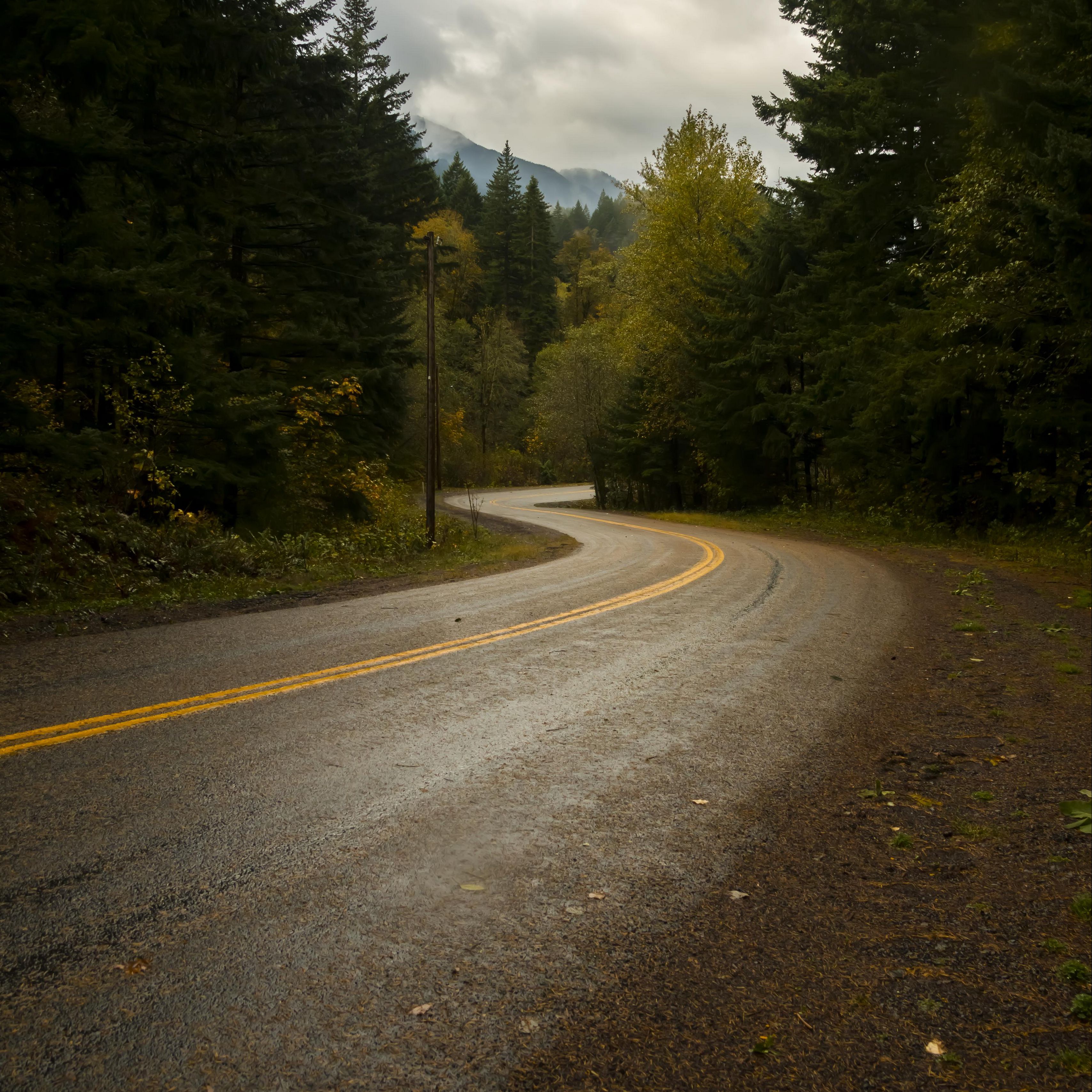 Download wallpaper 3415x3415 road, turn, trees ipad pro 12.9" retina ...