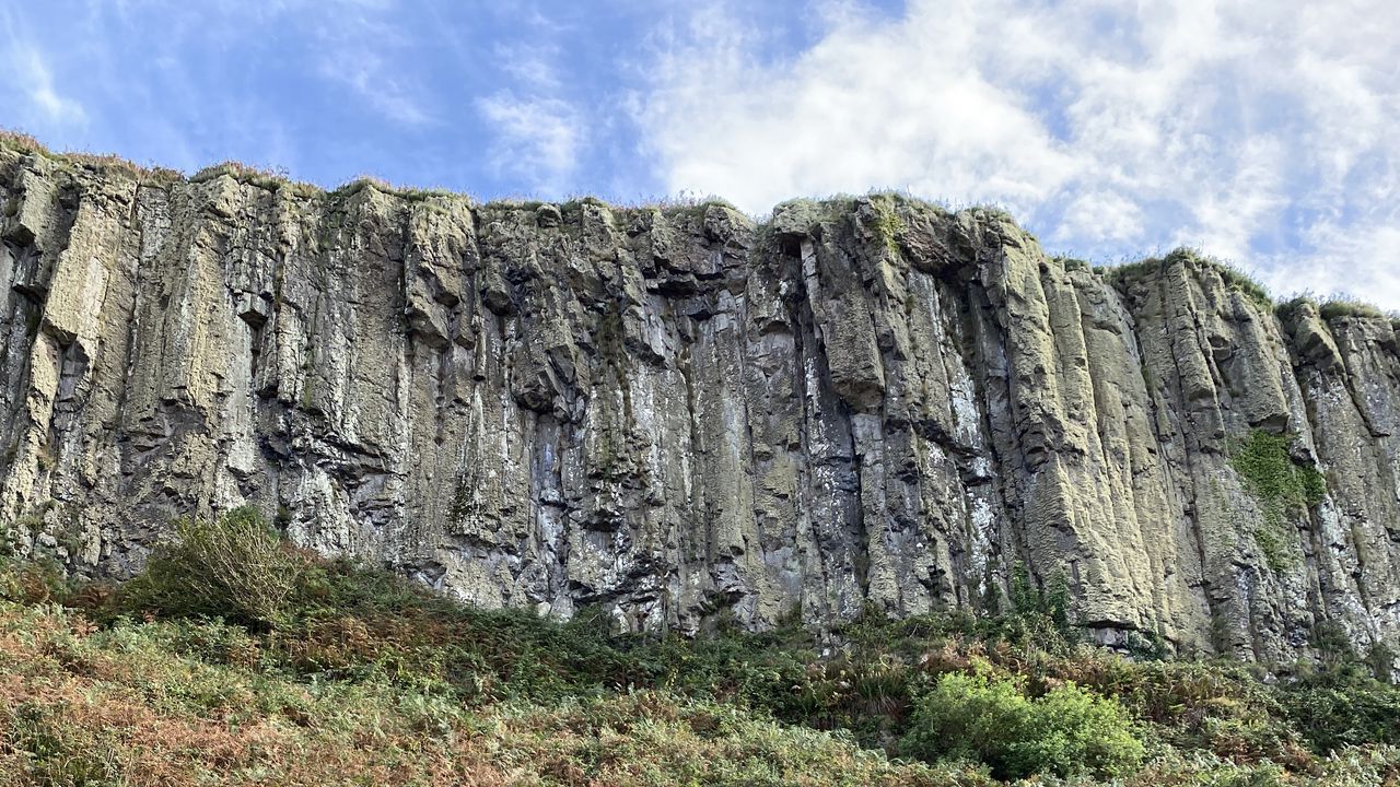 Wallpaper rock, cliff, stones, bushes hd, picture, image