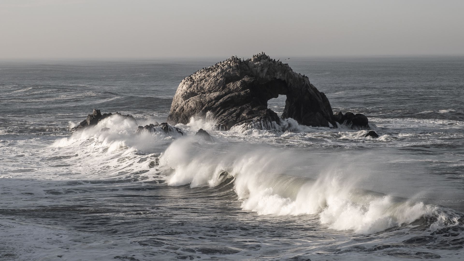 Download wallpaper 1920x1080 rock, ocean, waves, foam full hd, hdtv ...