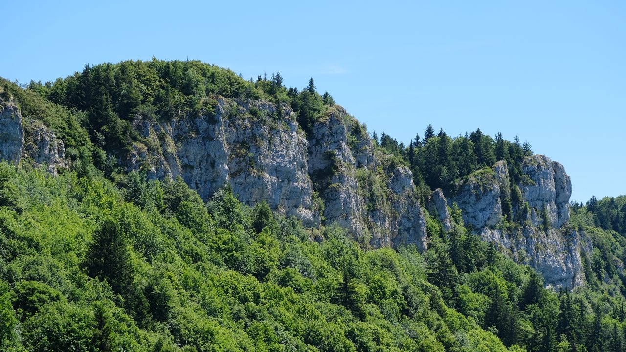 Wallpaper rock, relief, trees, nature hd, picture, image