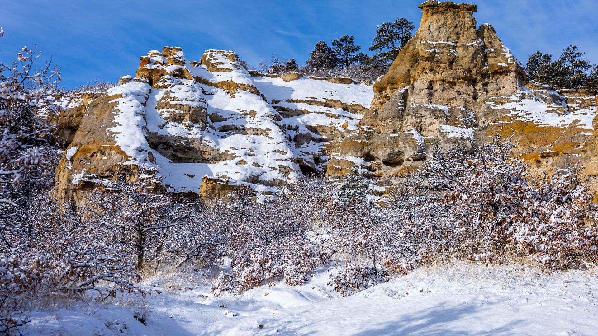 Download wallpaper 1920x1080 rock, snow, trees, winter full hd, hdtv ...