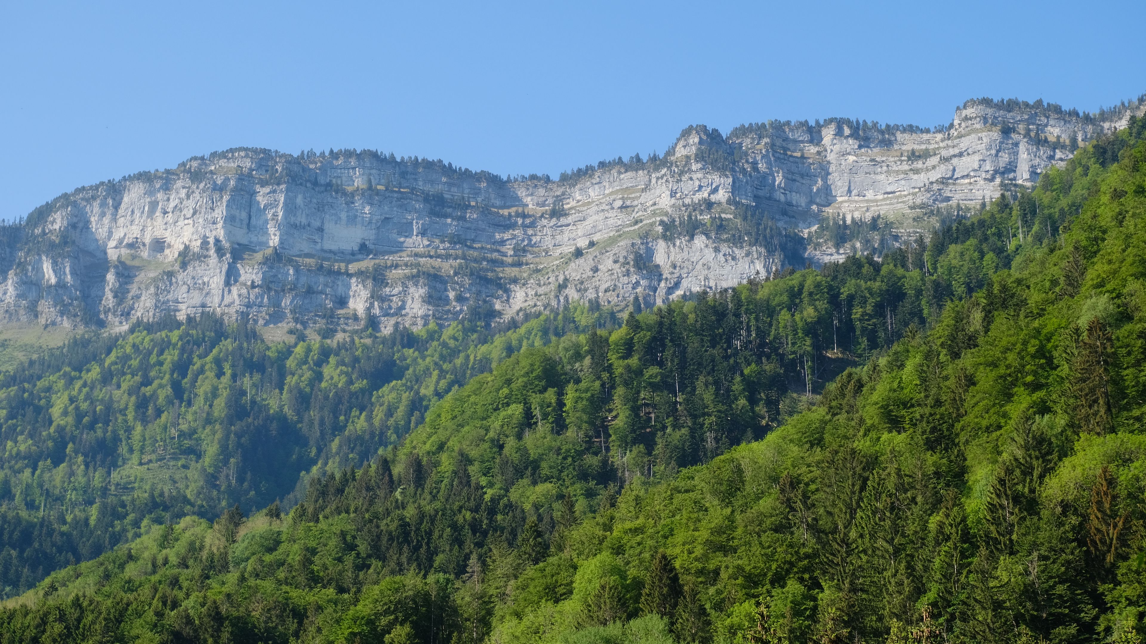 Download wallpaper 3840x2160 rocks, cliff, forest, trees, landscape 4k ...