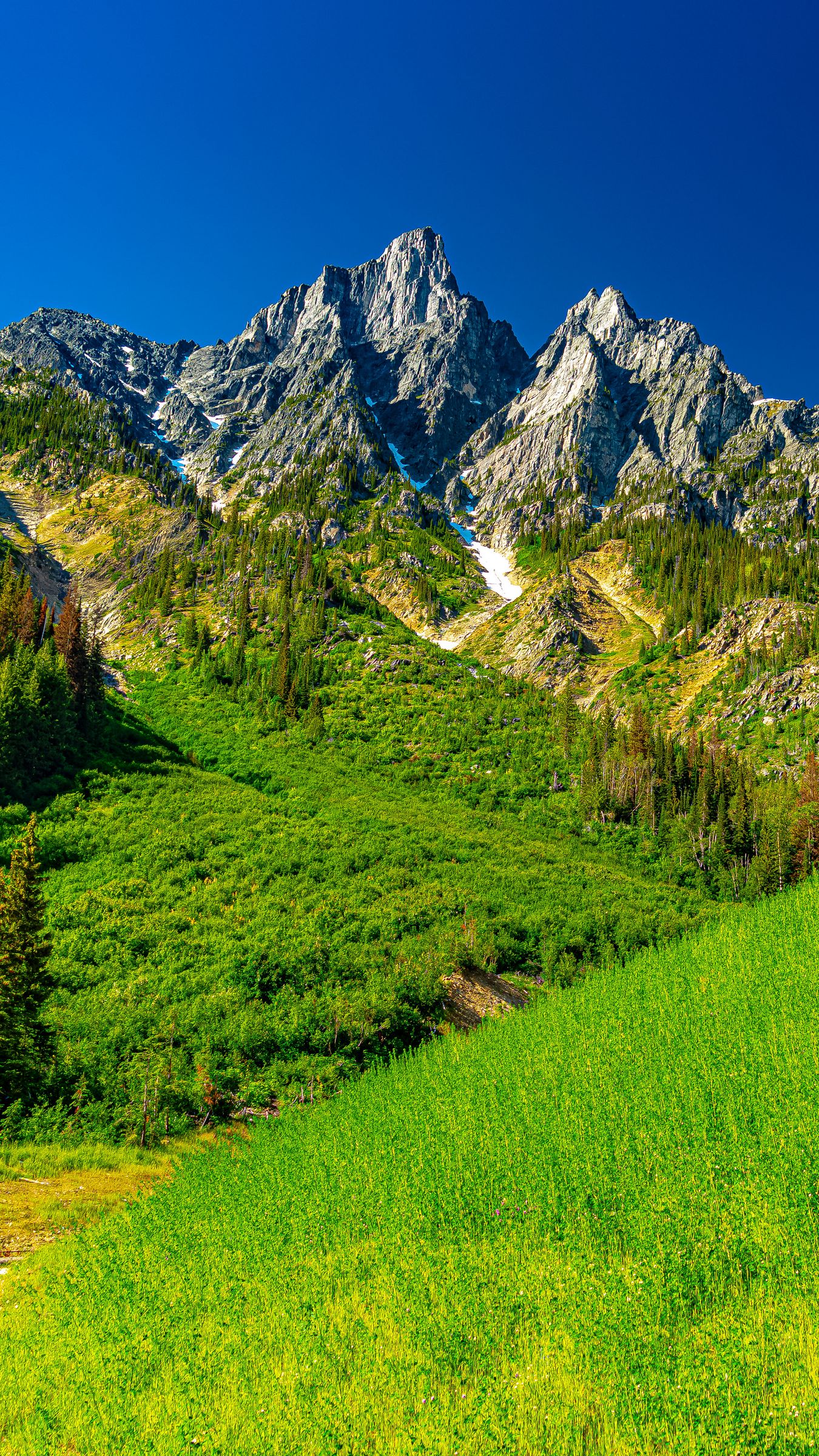 Download wallpaper 1350x2400 rocks, slope, valley, trees, landscape ...