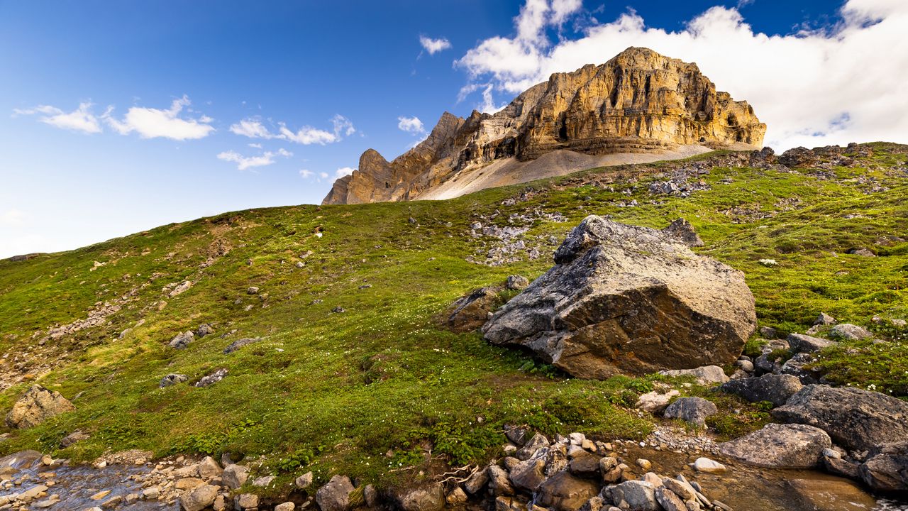 Wallpaper rocks, stones, field, nature, landscape hd, picture, image