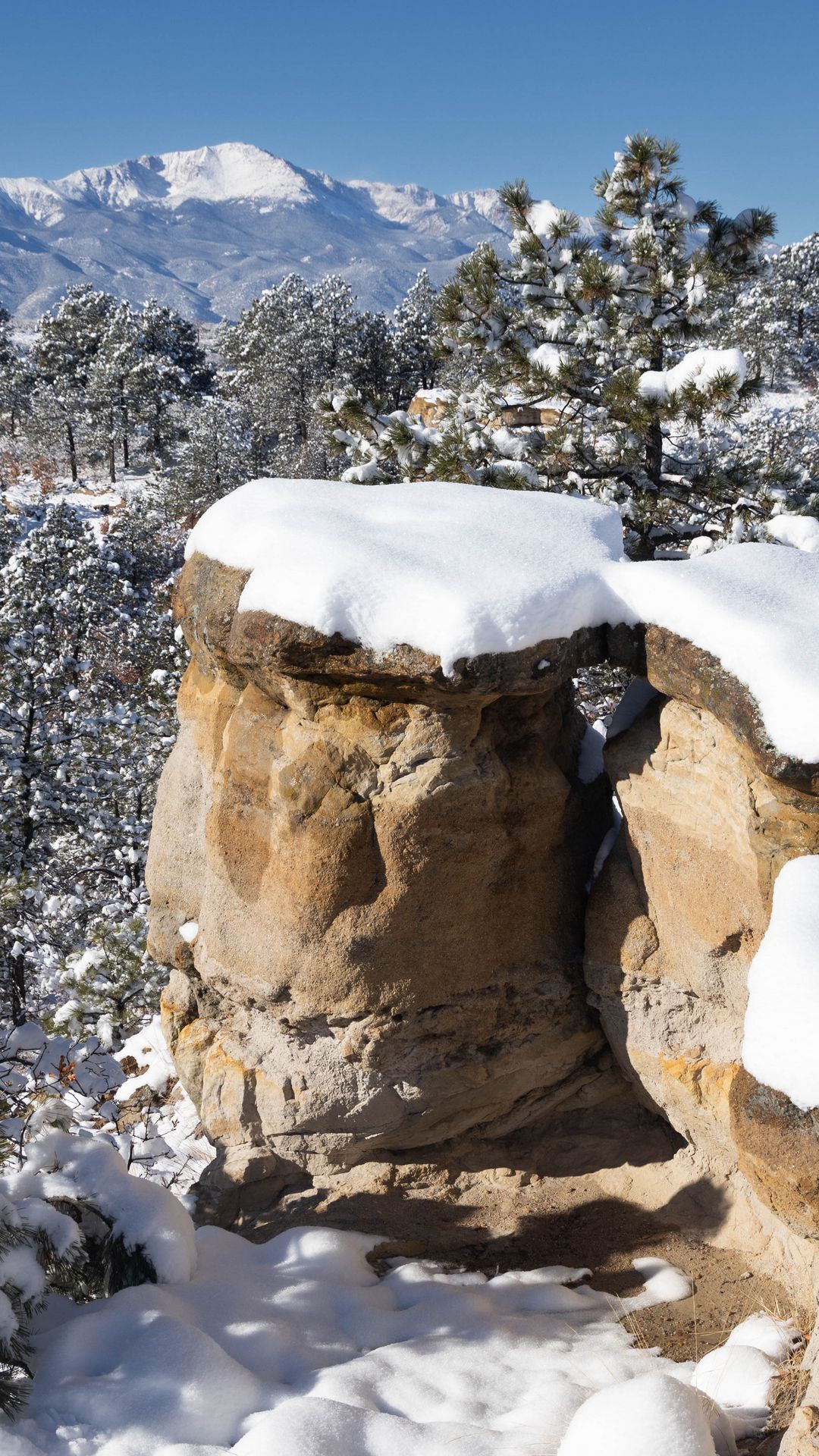 Download wallpaper 1080x1920 rocks, trees, forest, snow, winter, nature ...