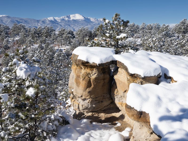 Download wallpaper 800x600 rocks, trees, forest, snow, winter, nature ...